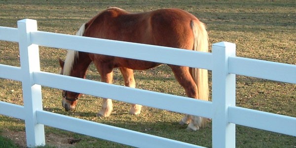 Horse Fencing and HDPE Equine Ranch Fence | Derby Fence
