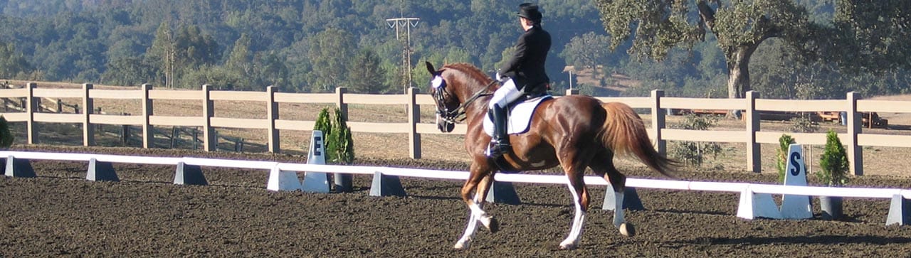 High-Density Polyethylene (HDPE) Rail Fencing - Derby Fence